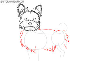How to Draw a Yorkie - Easy Drawing Art