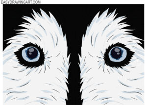 How to Draw Dog Eyes - Easy Drawing Art