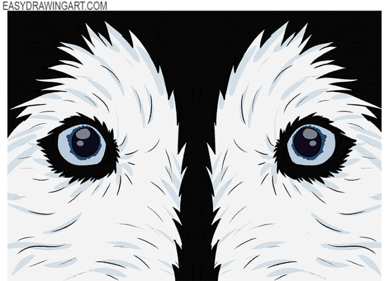 How to Draw Dog Eyes - Easy Drawing Art