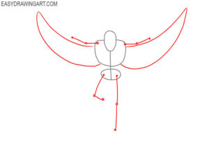 How to Draw Falcon - Easy Drawing Art