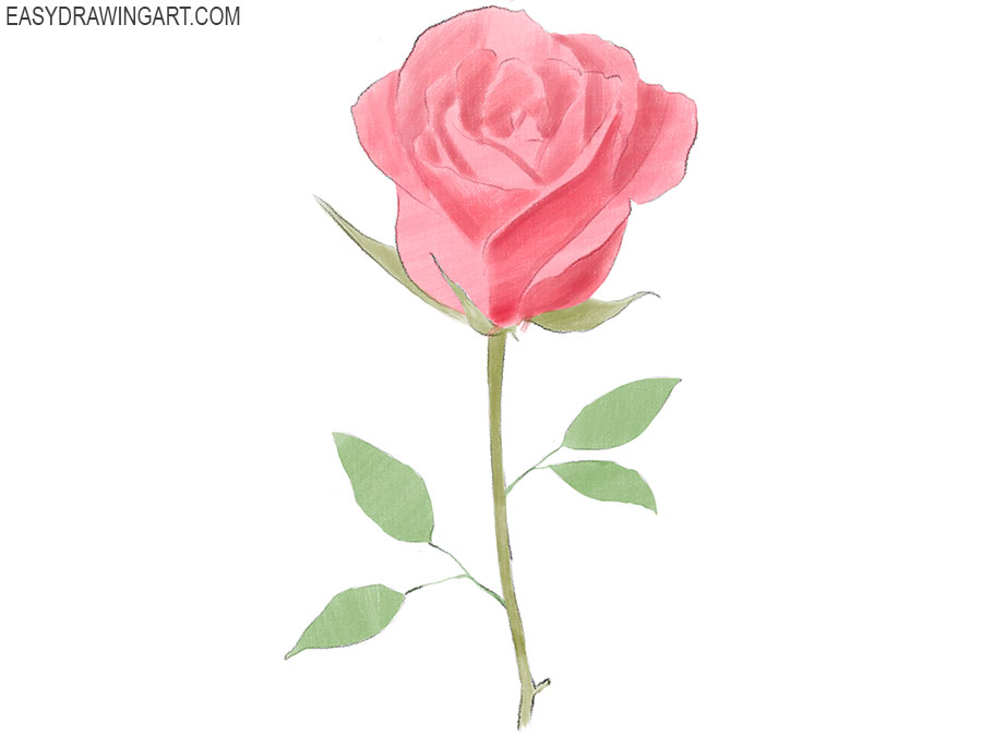How to Paint a Flower - Easy Drawing Art
