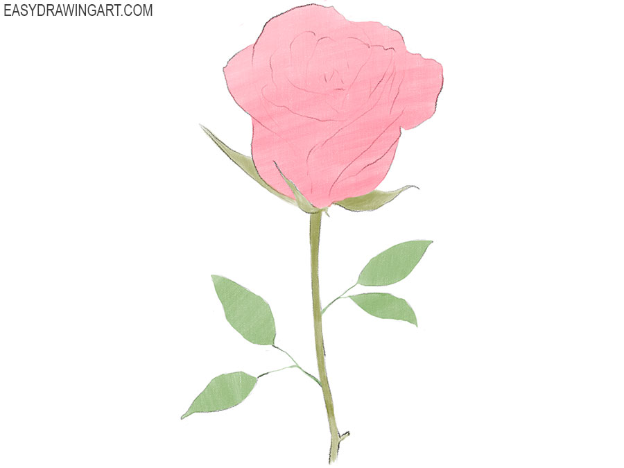 How to Paint a Flower - Easy Drawing Art